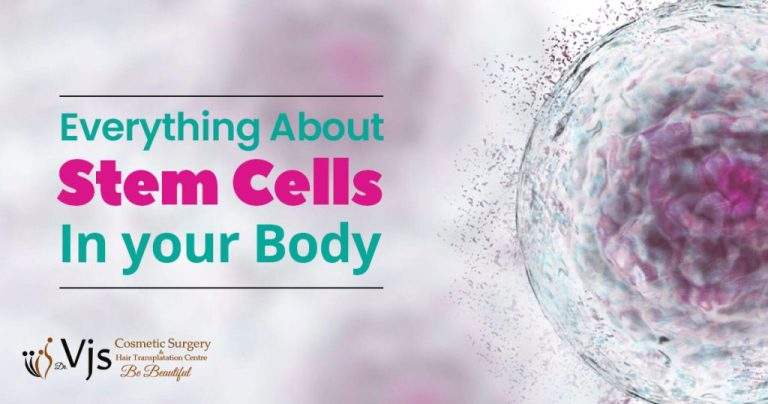 What are stem cells and explain how do stem cells work in your body?